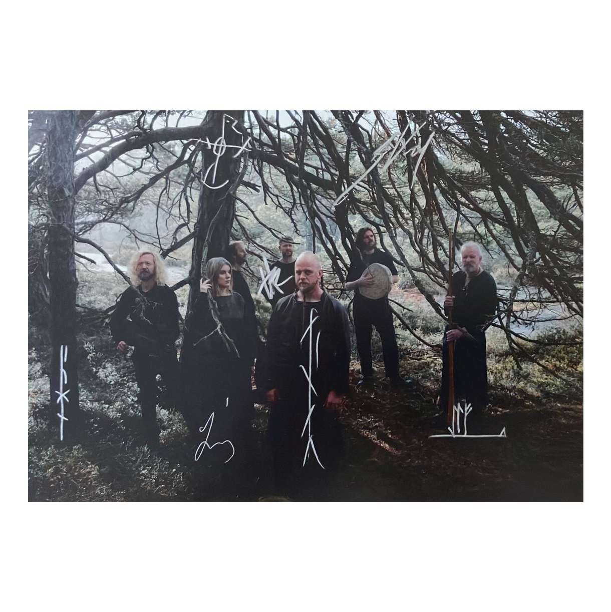 Wardruna - Birna: Vinyl 2LP + Signed Art Card – Louder